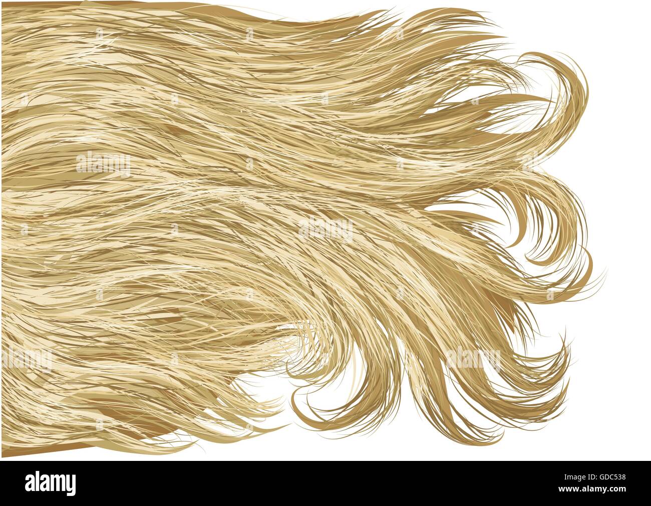 Straight white long hair Stock Vector Images - Alamy