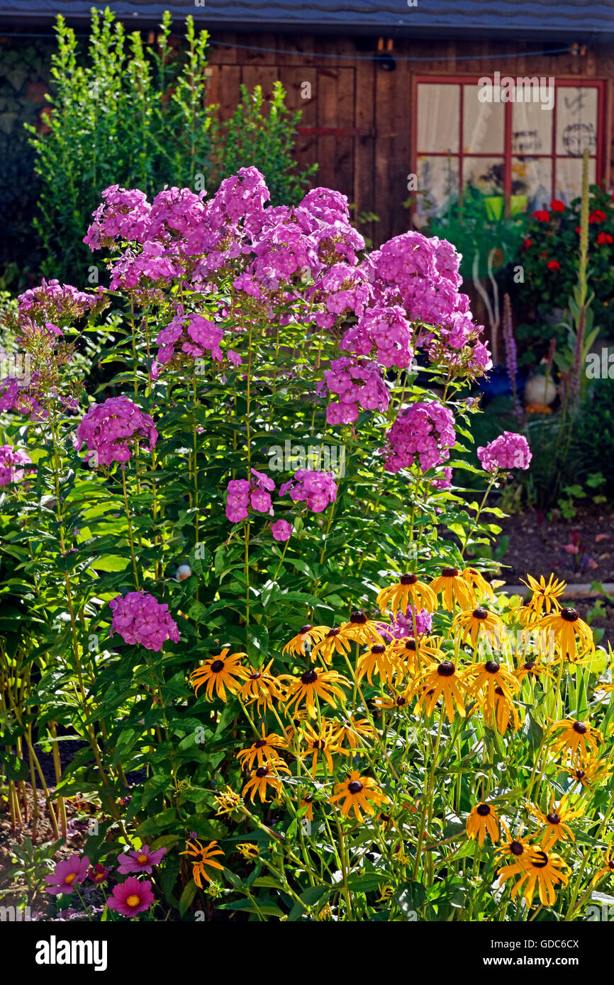 Guild house lane hi-res stock photography and images - Alamy