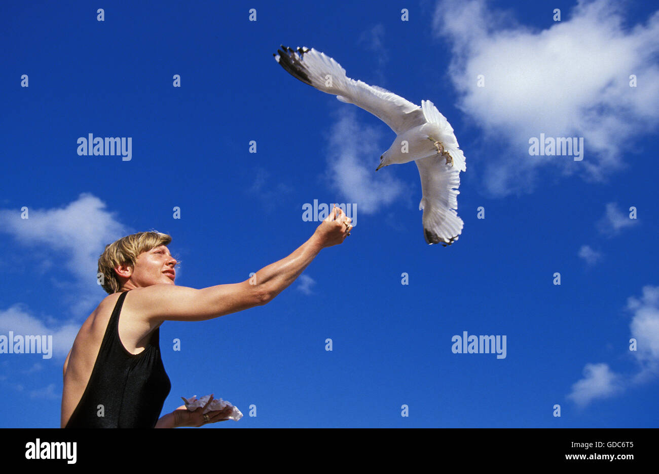 Giving the bird hi-res stock photography and images - Alamy
