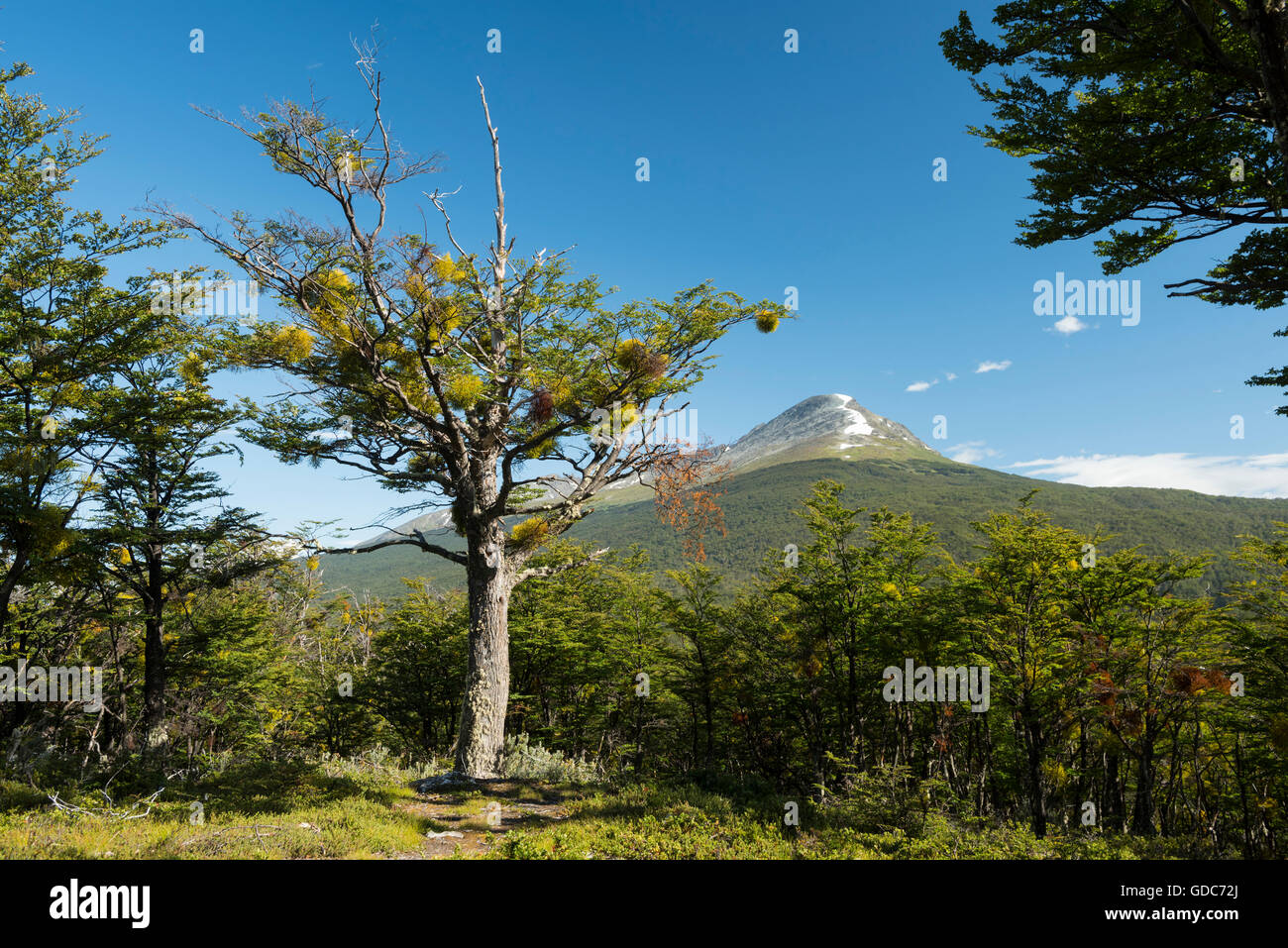 South America,Tierra del Fuego,Argentina,Ushuaia,Tierra del Fuego ...