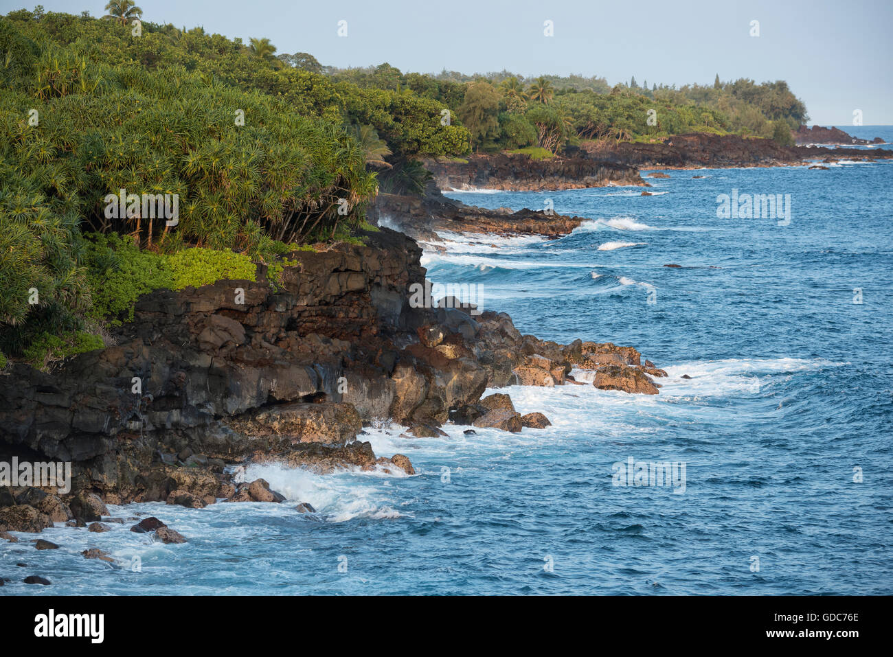Puna hawaii hi-res stock photography and images - Alamy