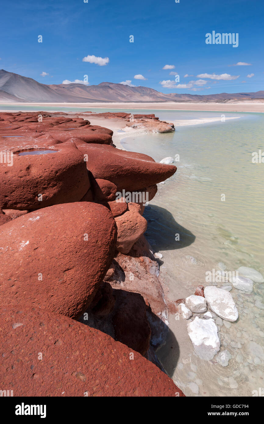Piedras rojas lagoon atacama desert hi-res stock photography and images ...