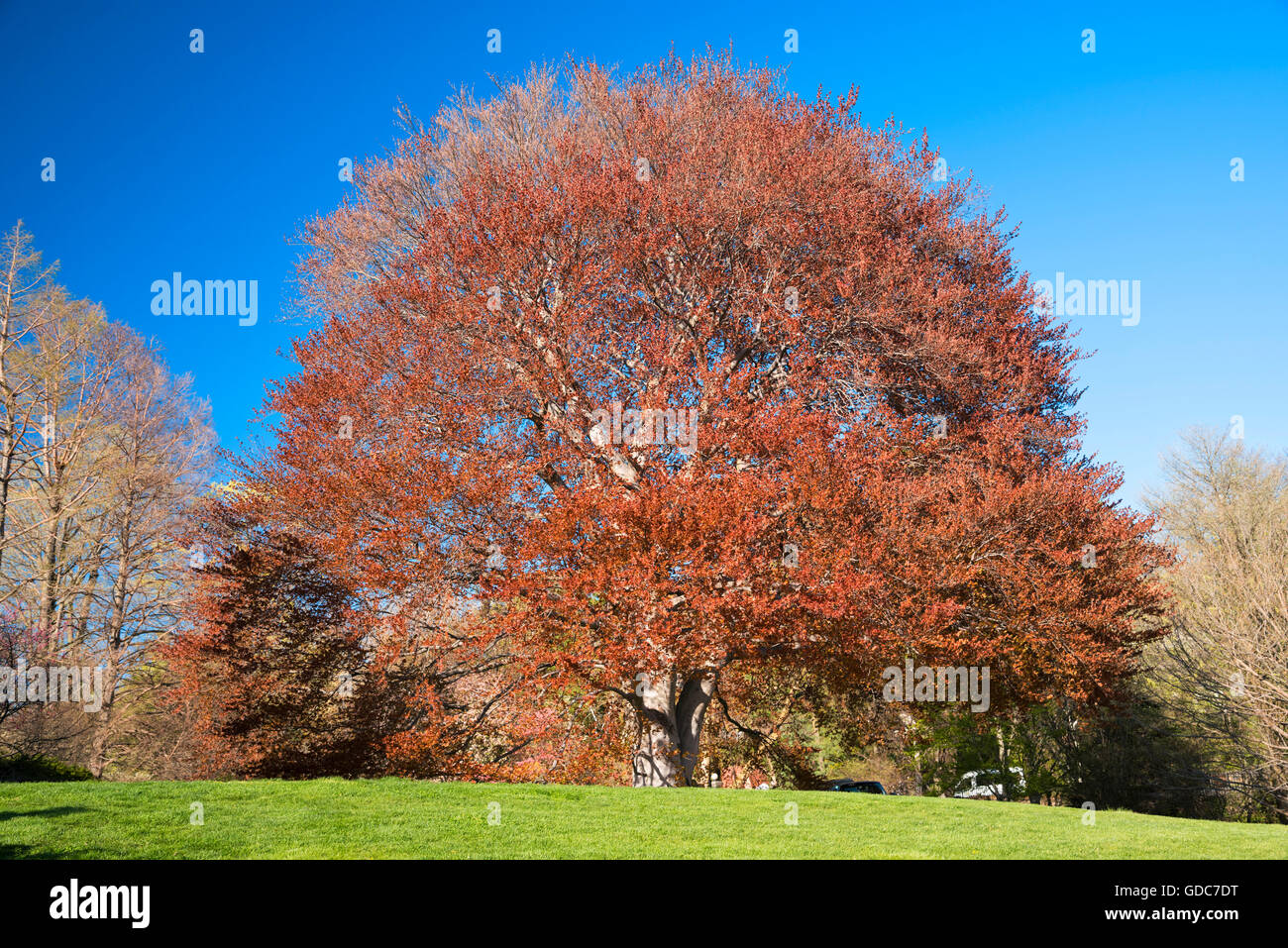 Wave hill bronx hi-res stock photography and images - Alamy