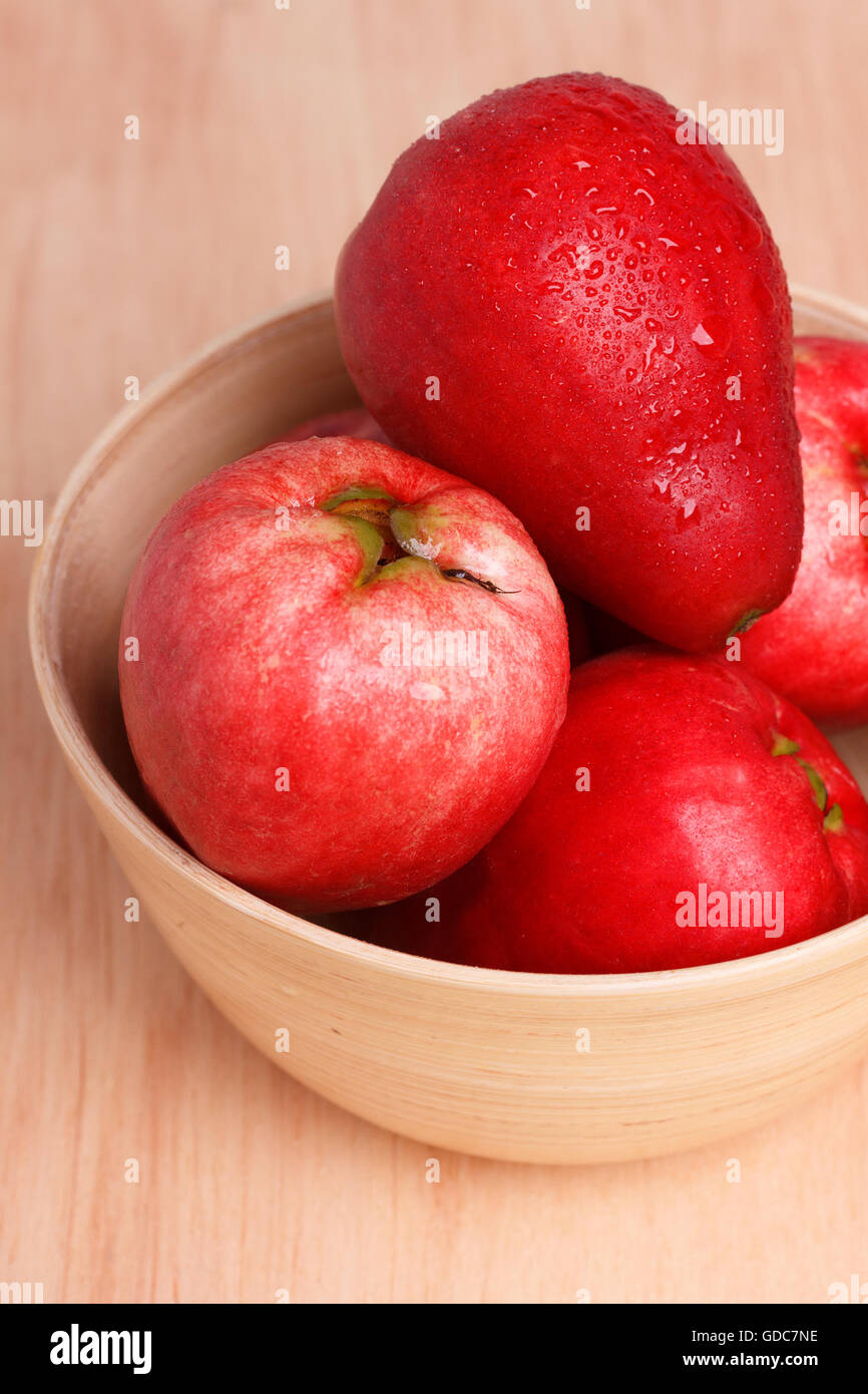 Tropical fruit Acmella oleracea (toothache plant, paracress, electric ...