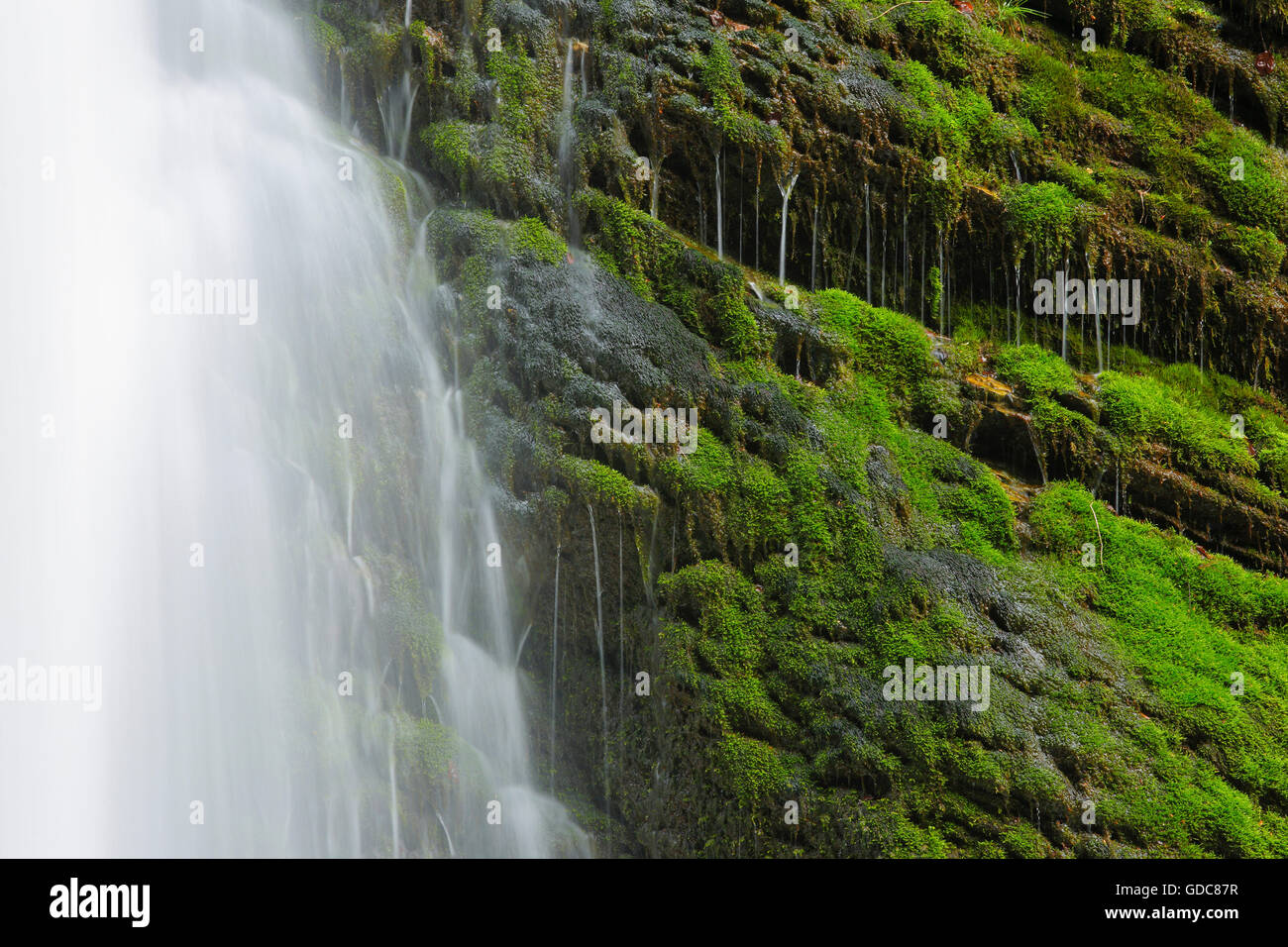 Thur waterfalls,canton of St. Gallen,Switzerland Stock Photo - Alamy