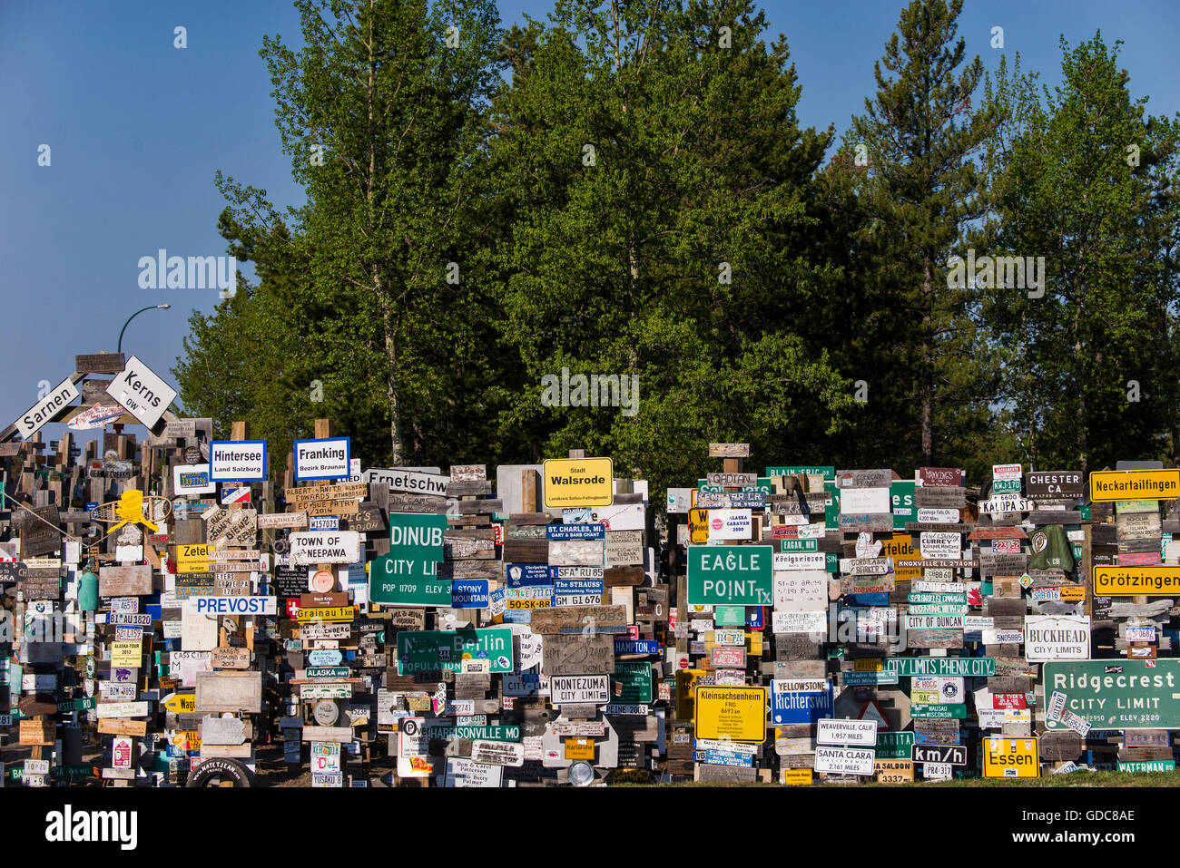signpost forest,Watson lake,Yukon,Canada,Alaska,USA,signpost Stock ...