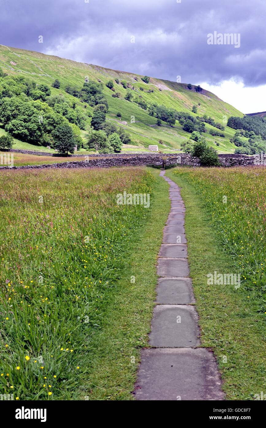 Swaledale valley near Muker Yorkshire UK Stock Photo - Alamy