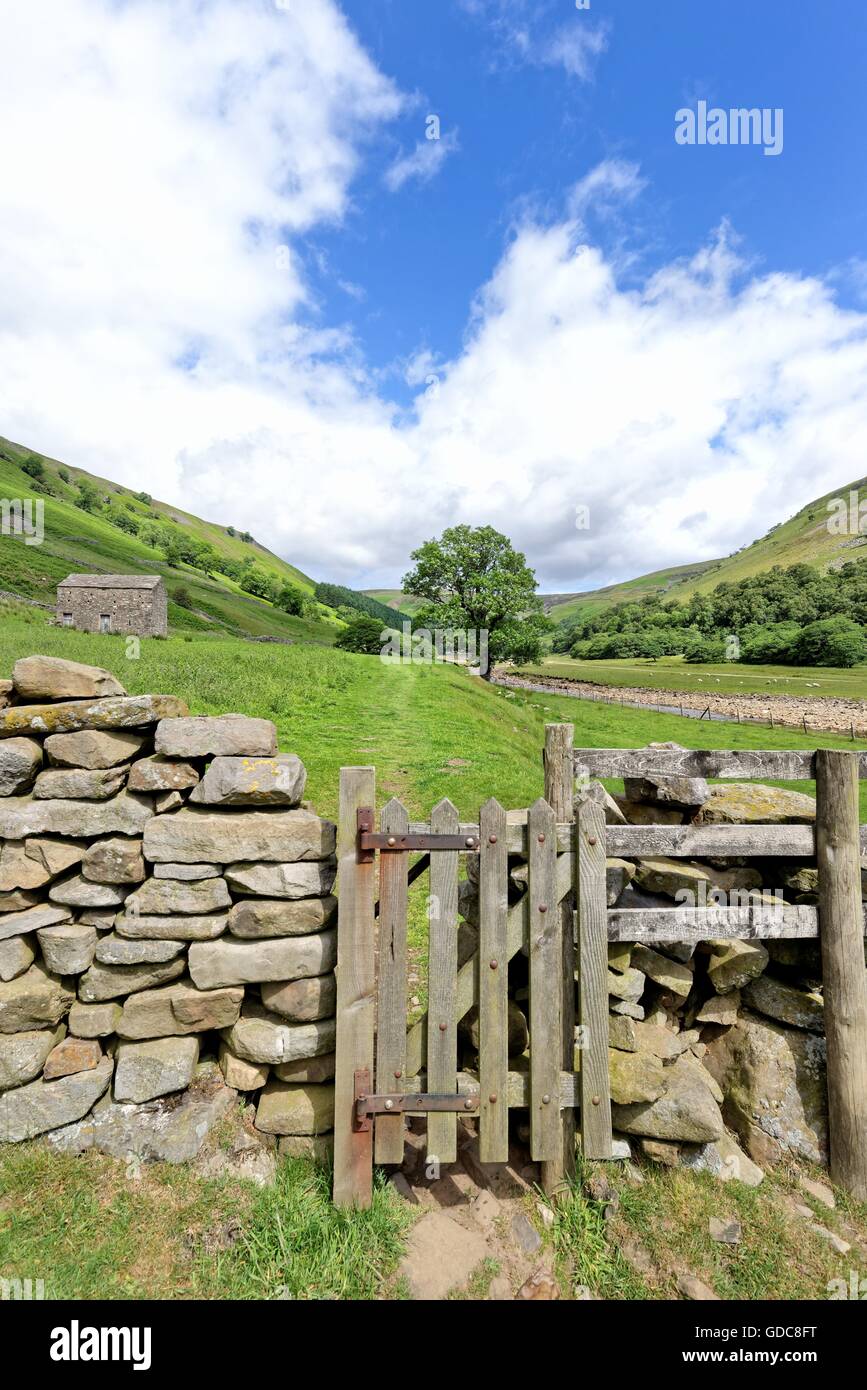 Swaledale hi-res stock photography and images - Alamy
