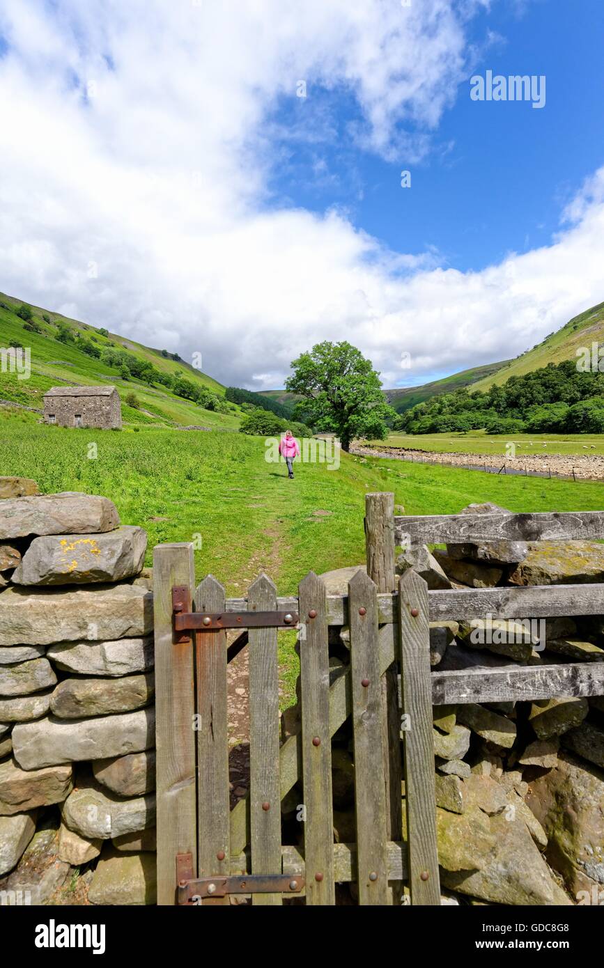Swaledale hi-res stock photography and images - Alamy