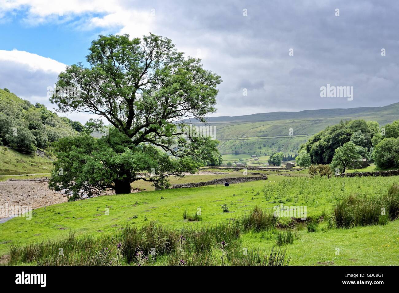 Upland yorkshire hillside hi-res stock photography and images - Alamy