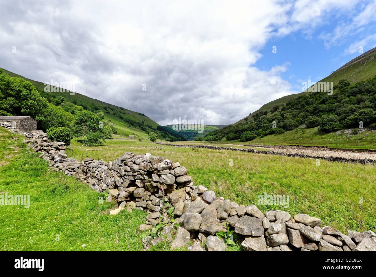 Swaledale valley near Muker Yorkshire UK Stock Photo - Alamy