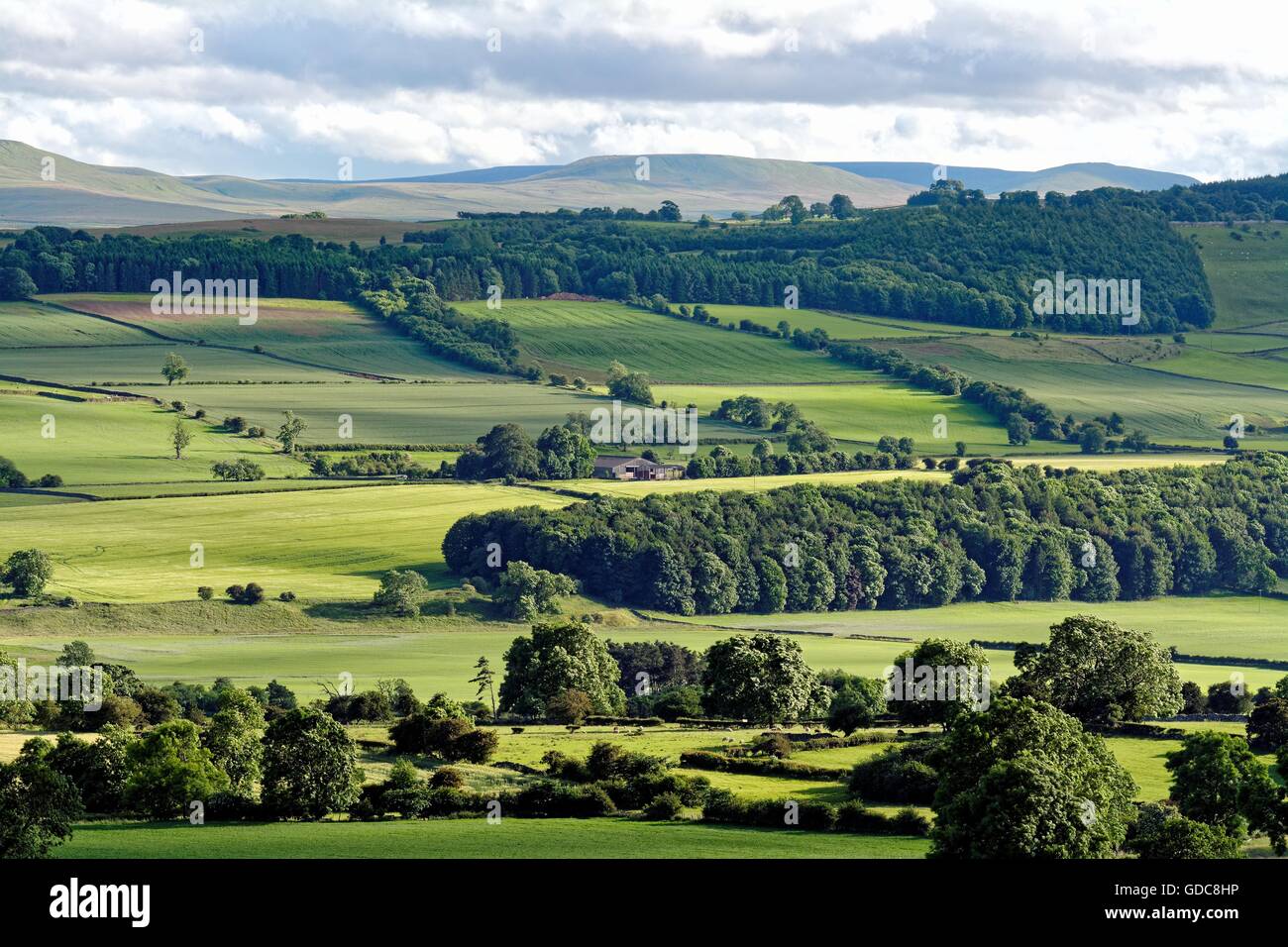 Leyburn yorkshire hi-res stock photography and images - Alamy