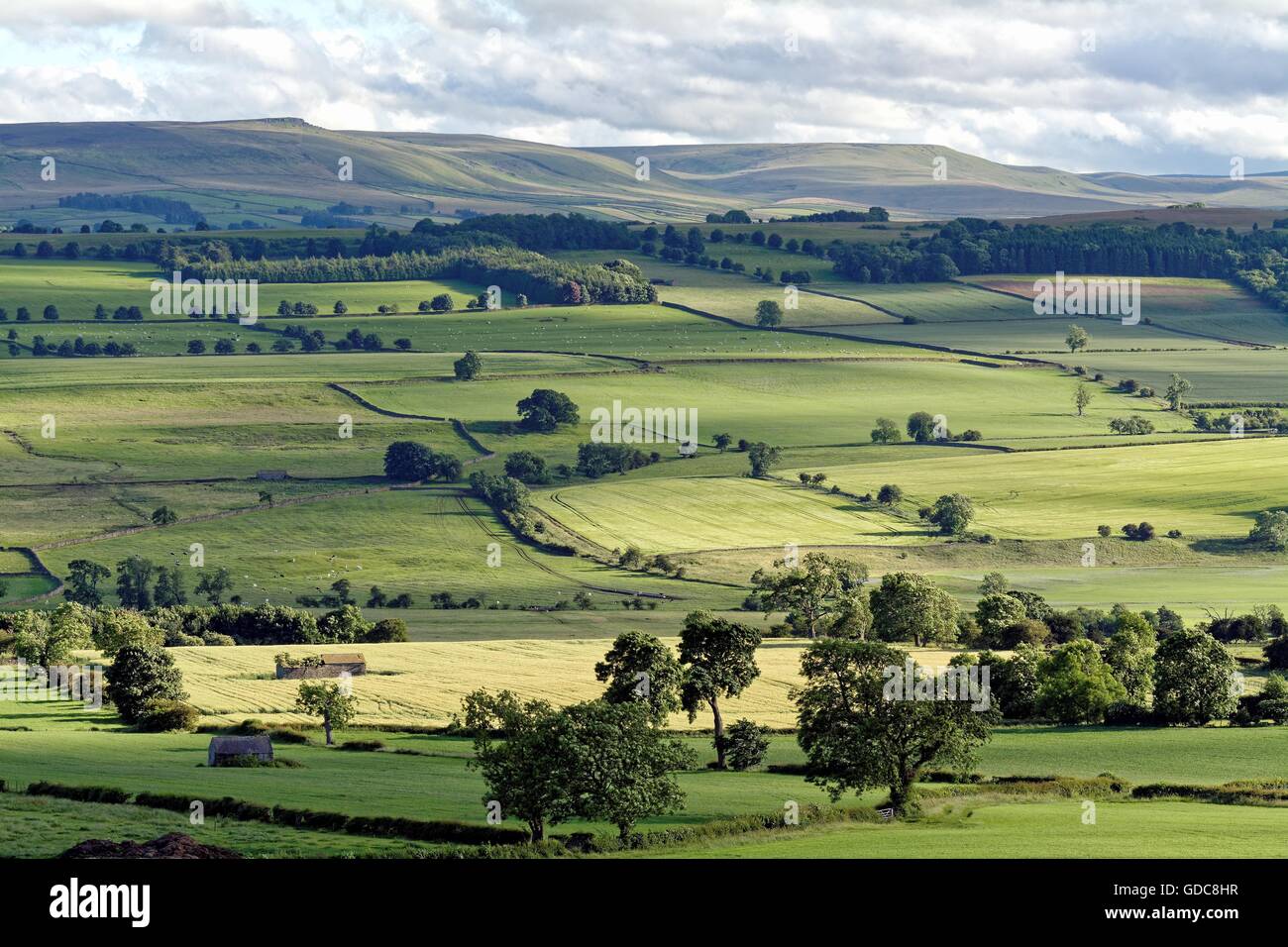 Leyburn yorkshire hi-res stock photography and images - Alamy