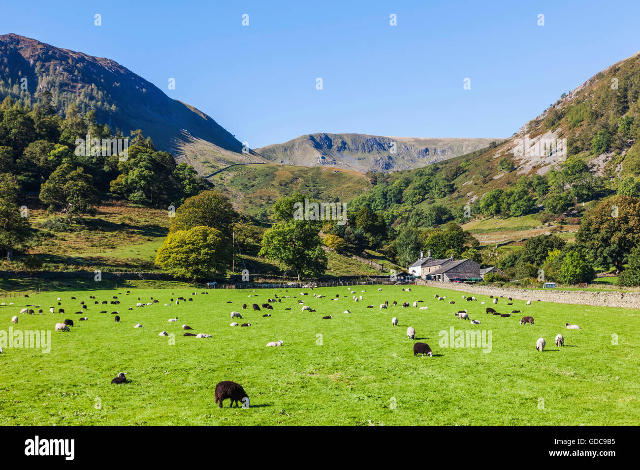 England,Cumbria,Lake District,Ullswater,Farm at Glenridding Stock Photo ...