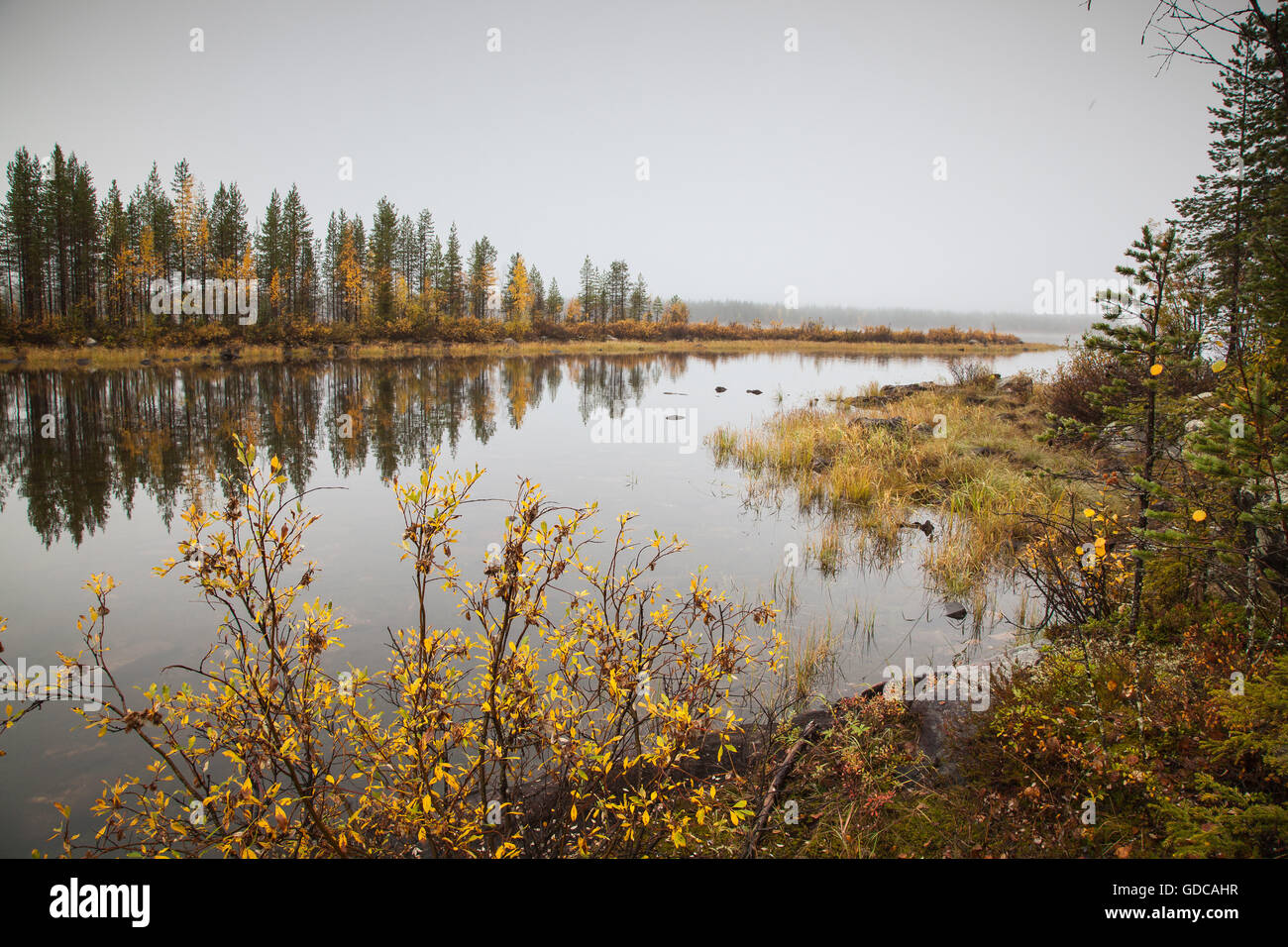 Europe,autumn,autumn colors,scenery,landscape,Lapland,Muddus,national ...