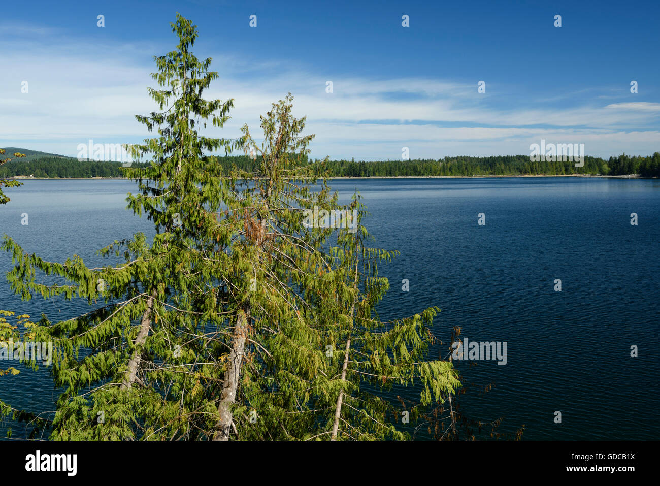 Comox lake hi-res stock photography and images - Alamy