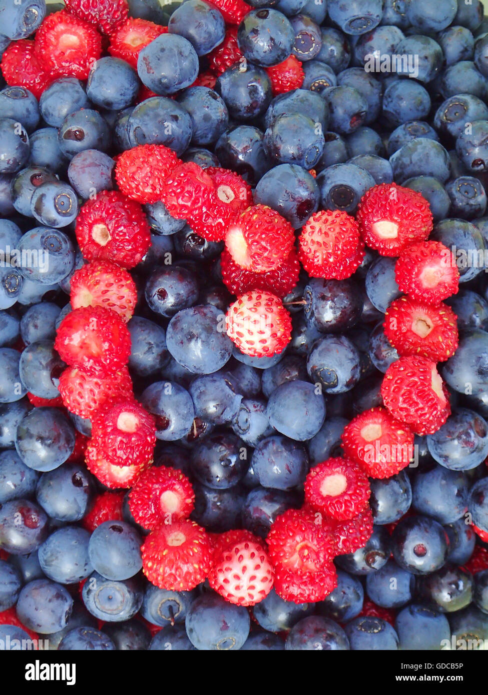 Creative concepts hi-res stock photography and images - Alamy