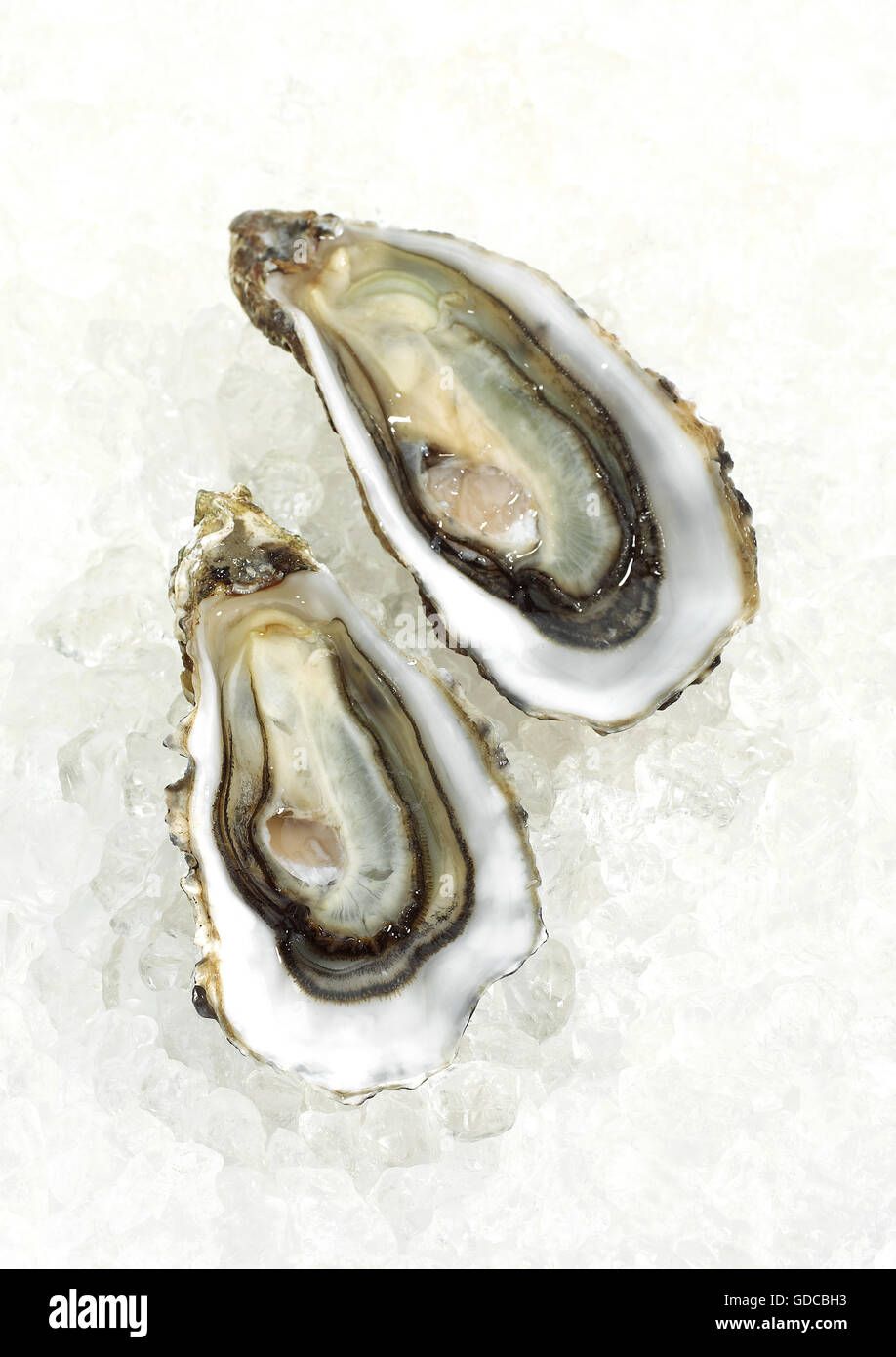 Famous French Oysters at Connie Goodin blog