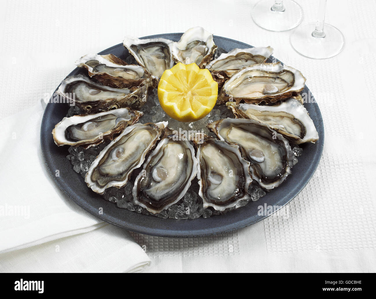 Flat tree oyster hi-res stock photography and images - Alamy