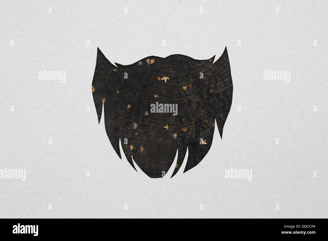 Hipster beard concept cut of paper, natural stump on background Stock ...