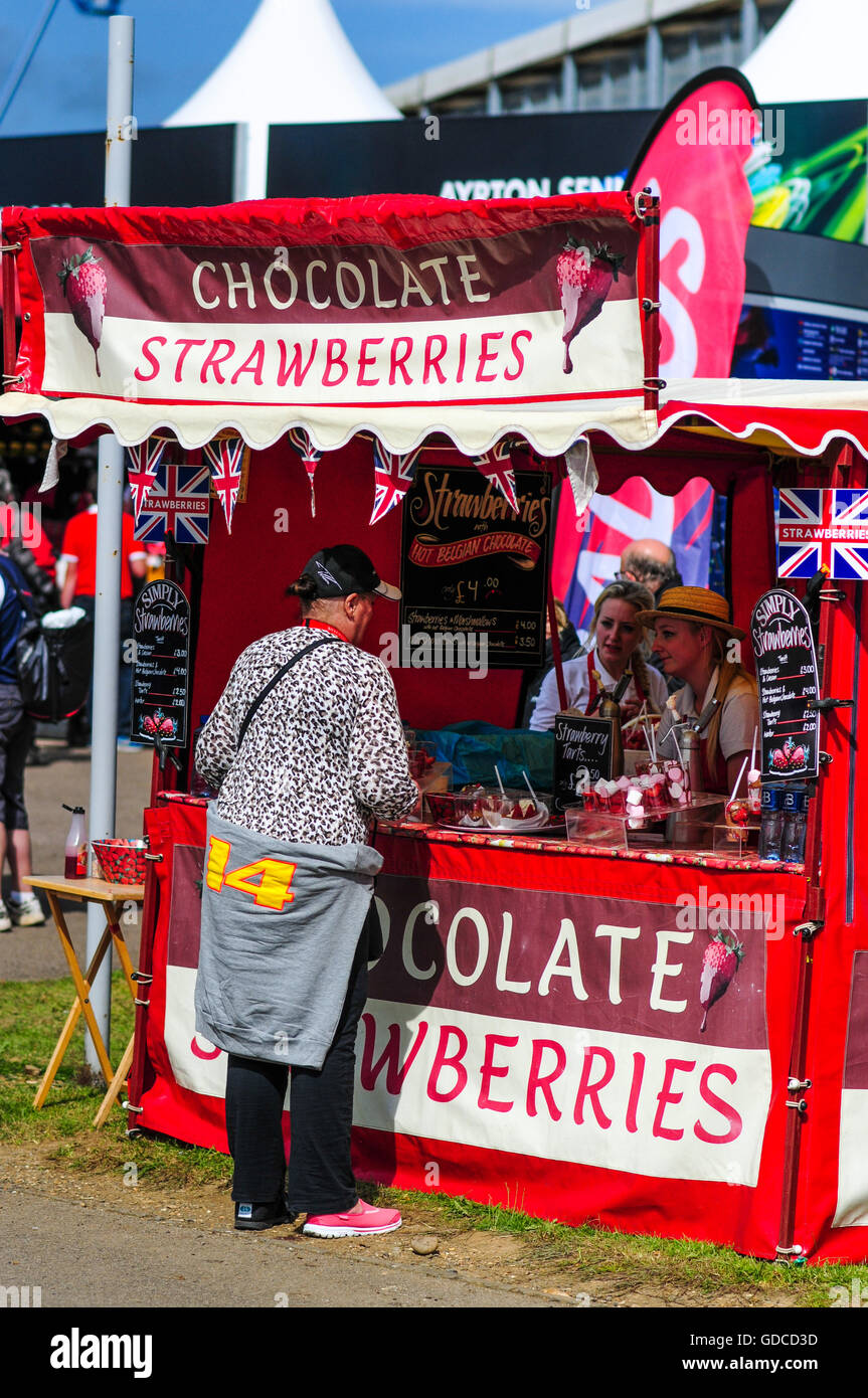 Fans at Silverstone race track during the F1 Formula One weekend Stock ...
