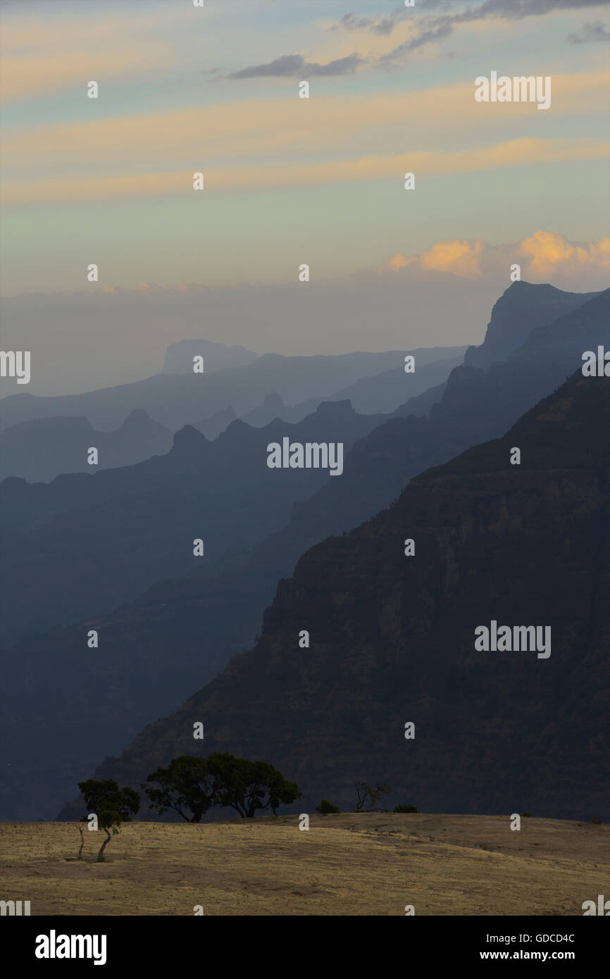 Simien lodge hi-res stock photography and images - Alamy