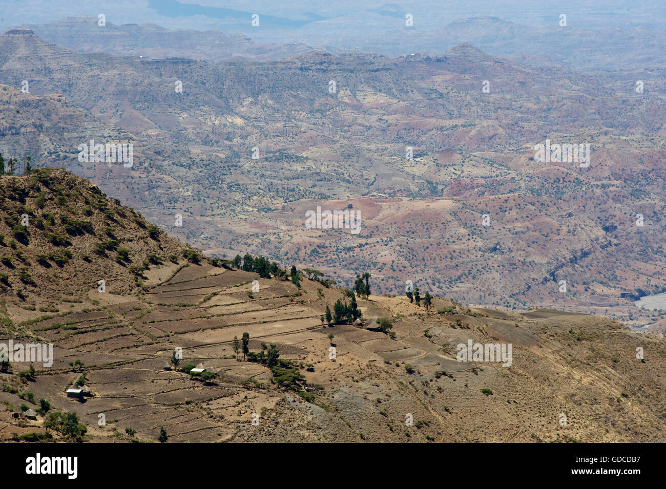 Ethiopia141130 50mb8bit hi-res stock photography and images - Alamy