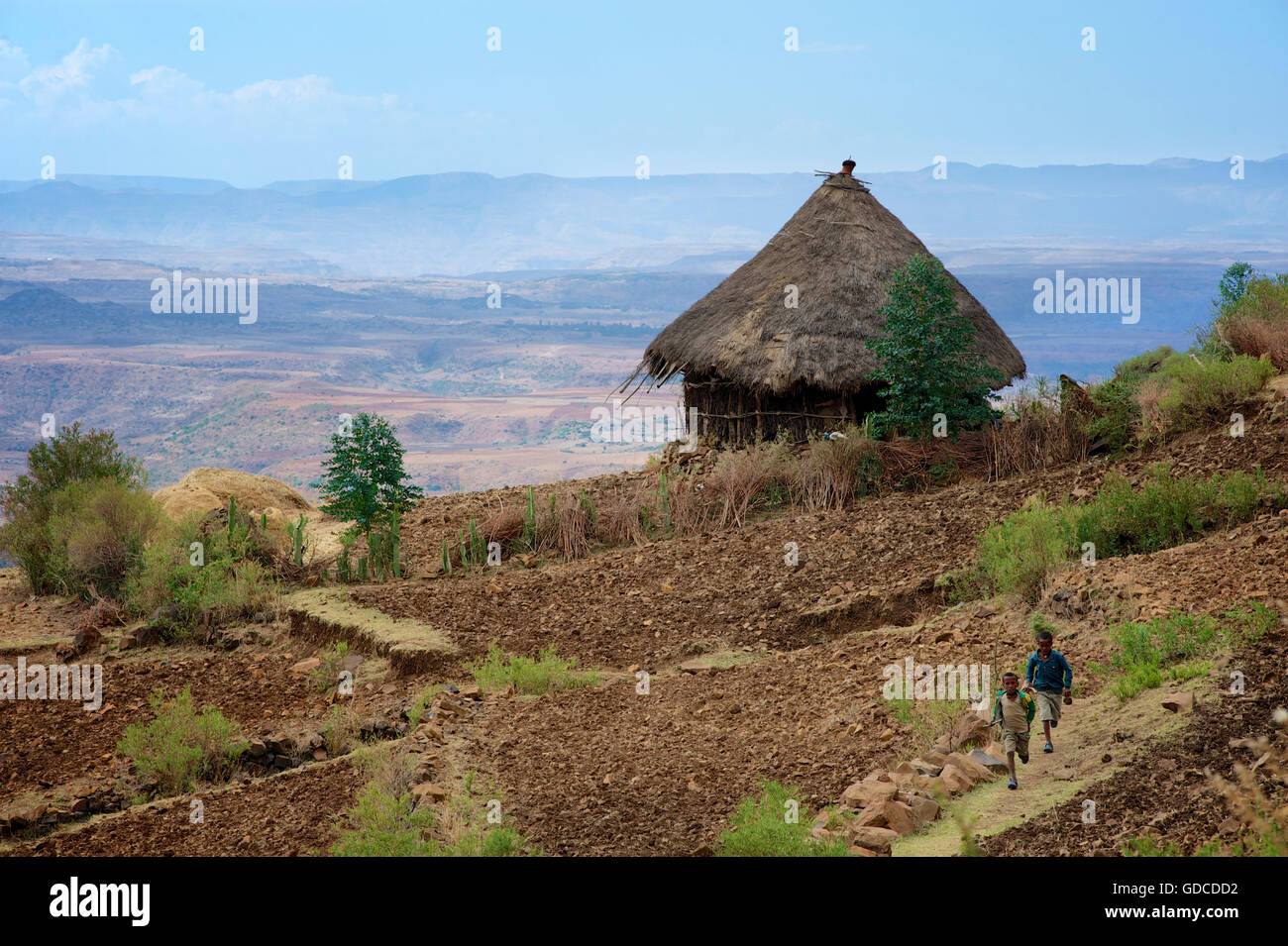 Ethiopian homestead and boys running to greet between Debre Zebit and ...