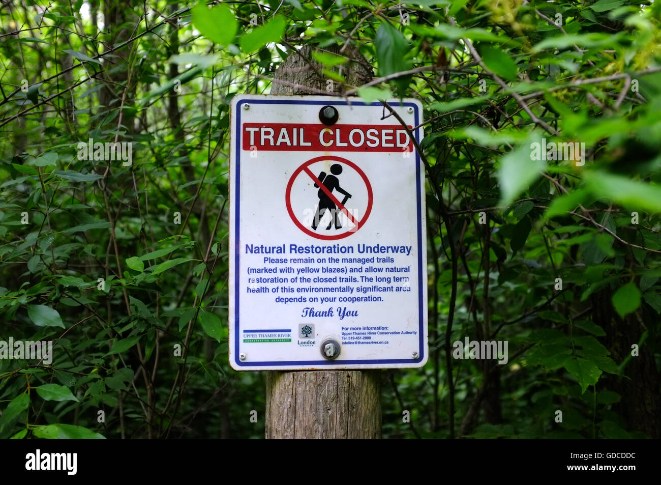 A Trail Closed sign outside a nature reserve in the Canadian city of ...