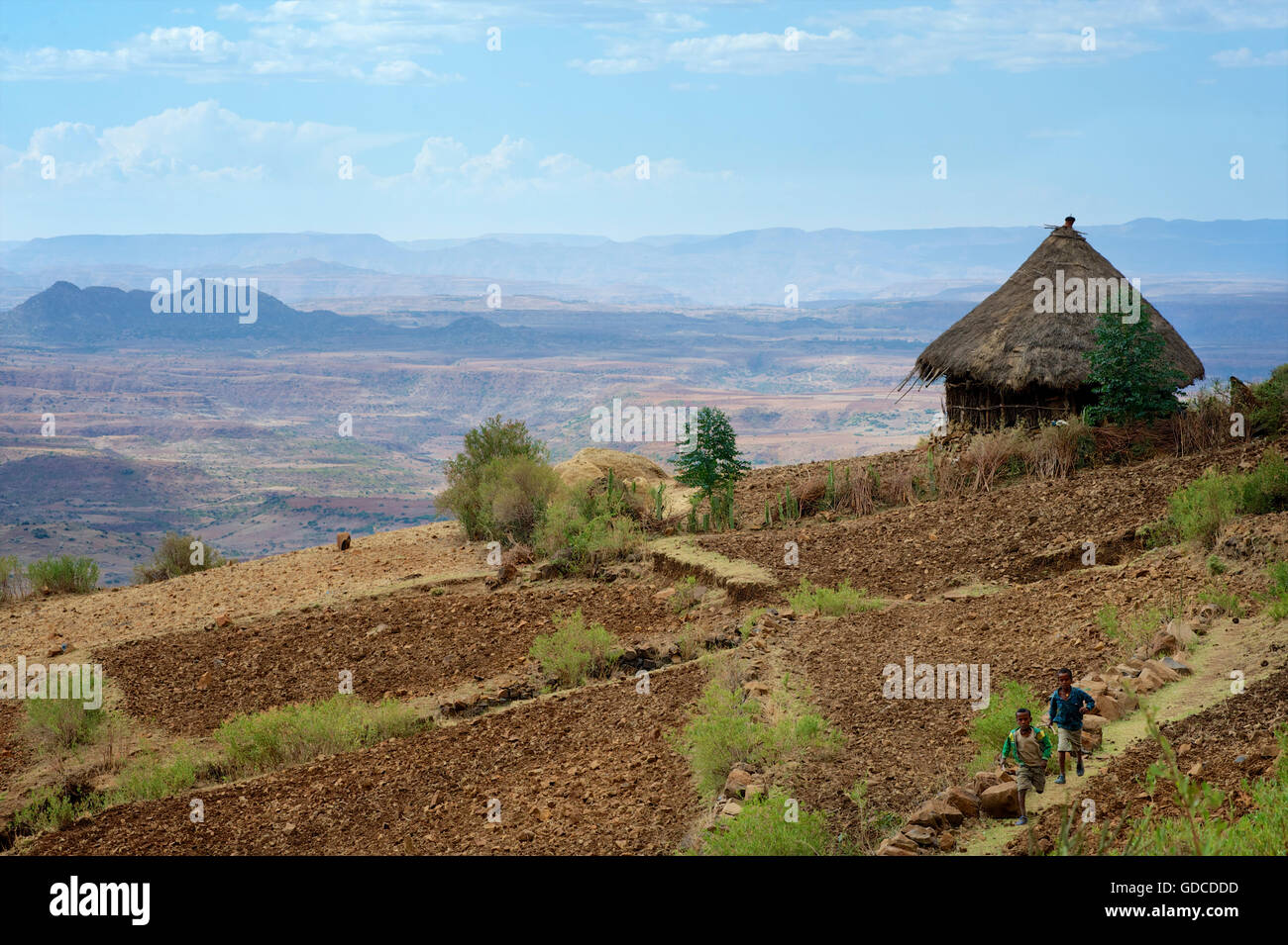 Wollo children wollo ethiopia hi-res stock photography and images - Alamy