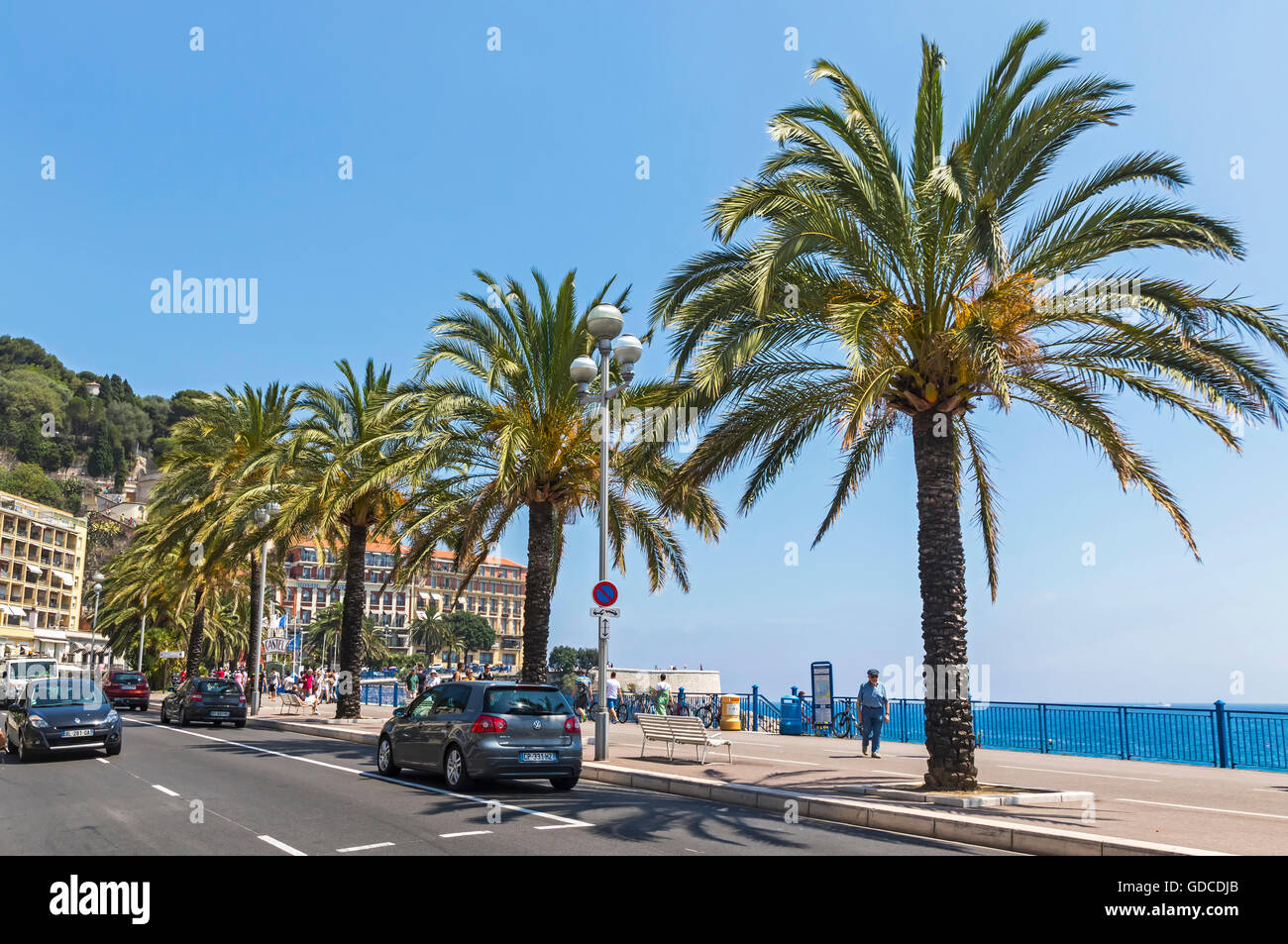English riviera palms hi-res stock photography and images - Alamy