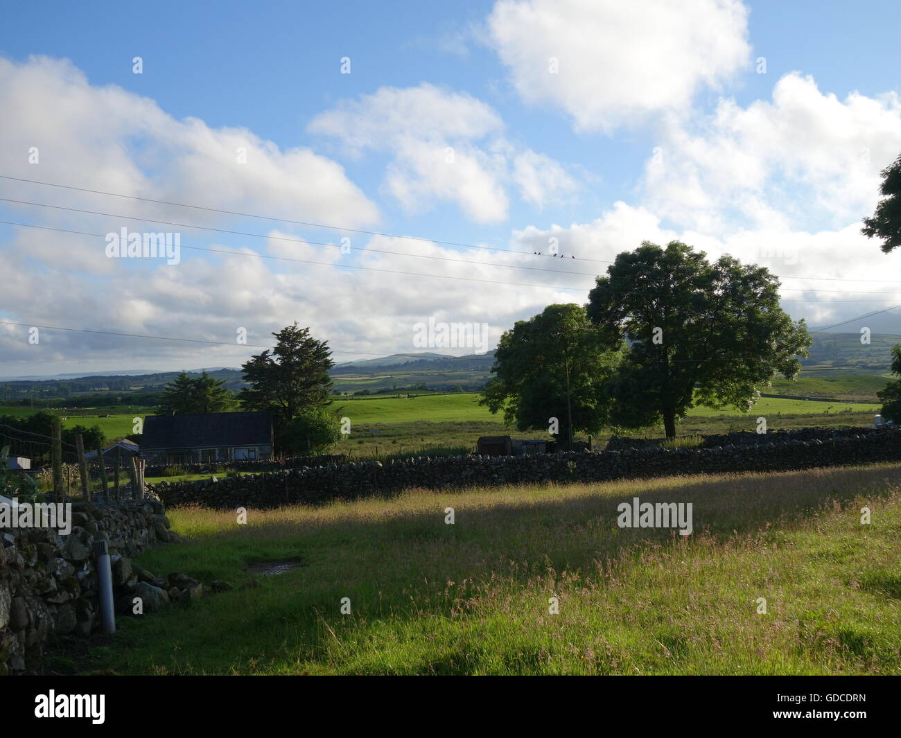 The Welsh countryside Stock Photo - Alamy