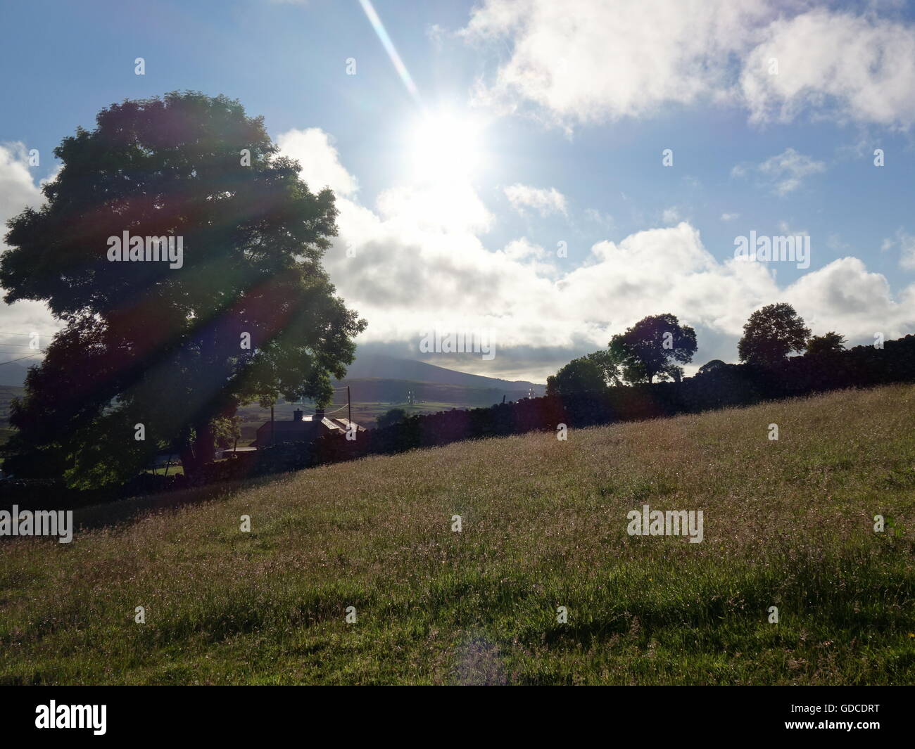 The Welsh countryside Stock Photo - Alamy