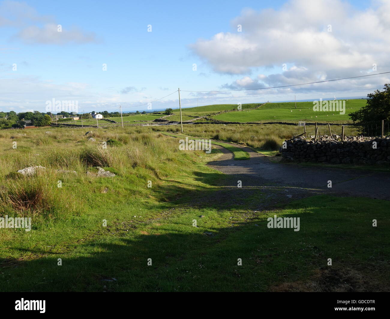 The Welsh countryside Stock Photo - Alamy