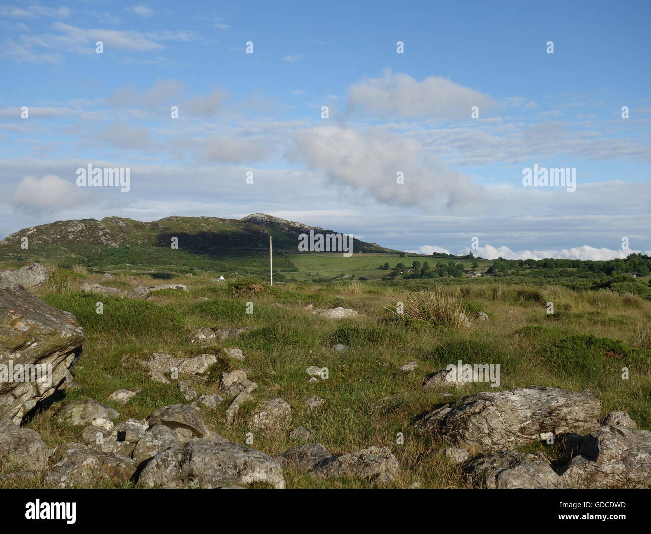 A sunny field with grass, trees and atmosphere Stock Photo - Alamy