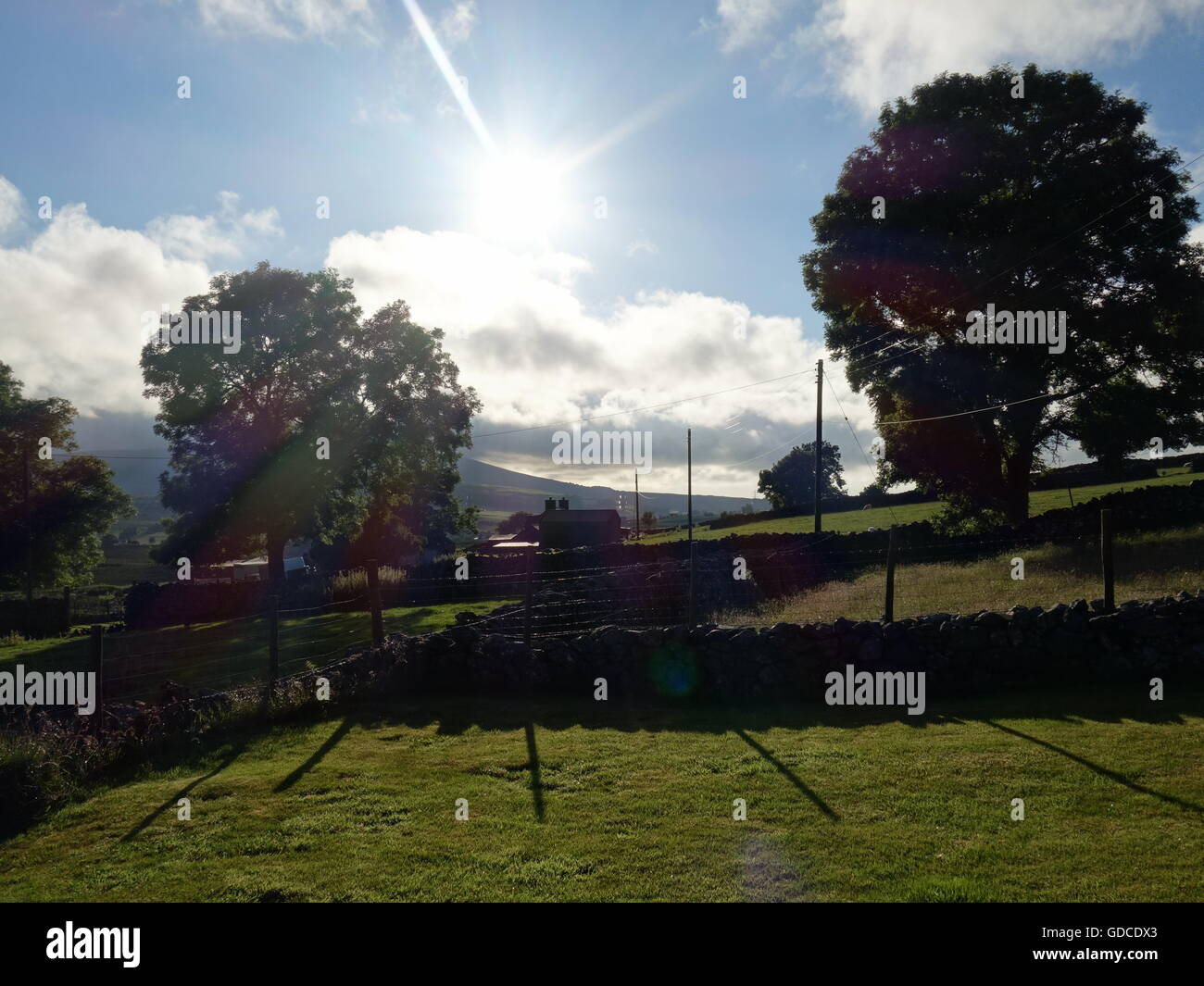 A sunny field with grass, trees and atmosphere Stock Photo - Alamy