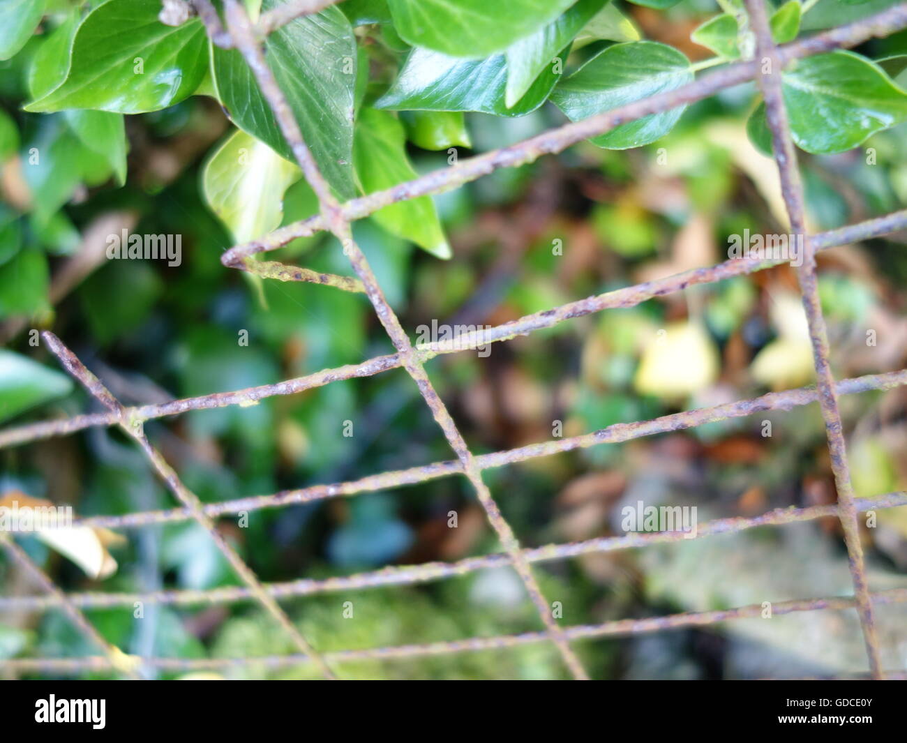 Fence broken through hi-res stock photography and images - Alamy