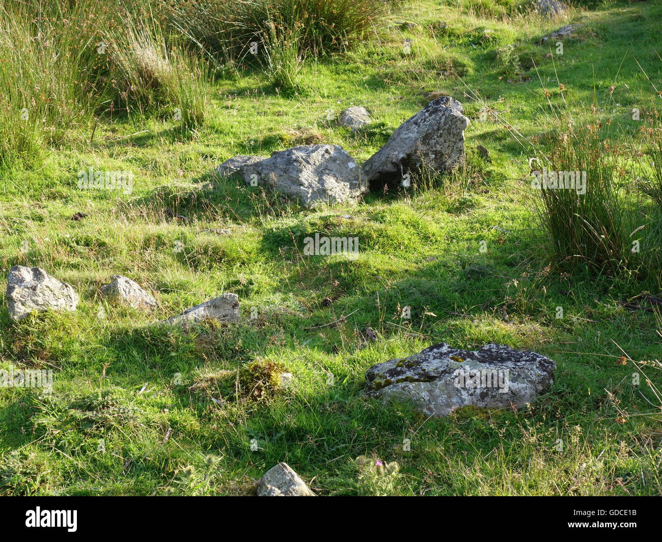 Rocks in a field Stock Photo - Alamy