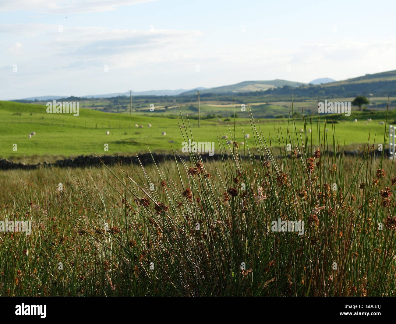 Nice field hi-res stock photography and images - Alamy