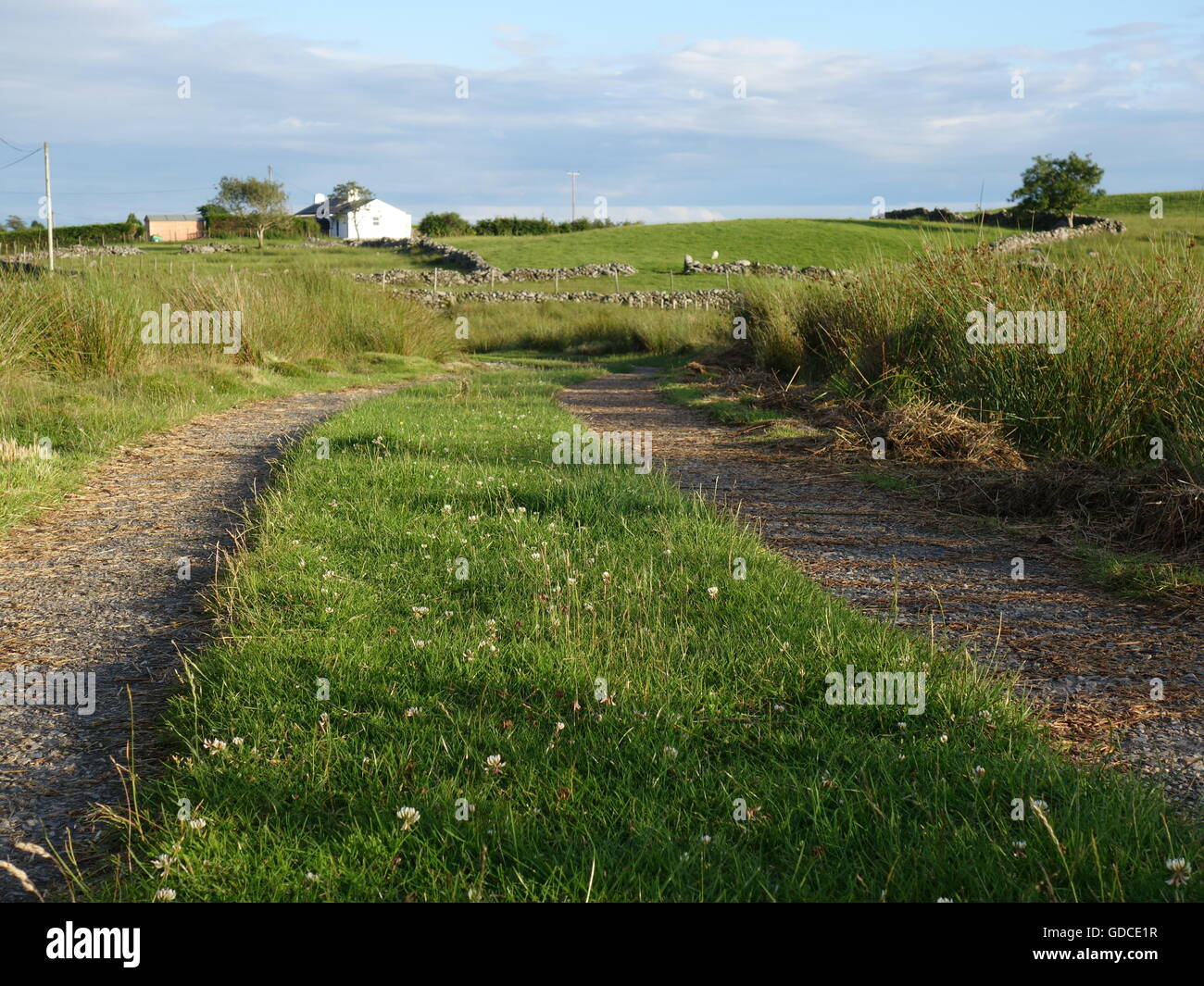 The Welsh countryside Stock Photo - Alamy