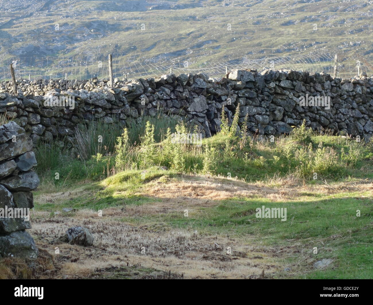 Old stone wall in the middle of a field Stock Photo - Alamy