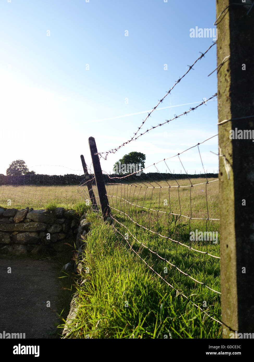 The Welsh countryside Stock Photo - Alamy