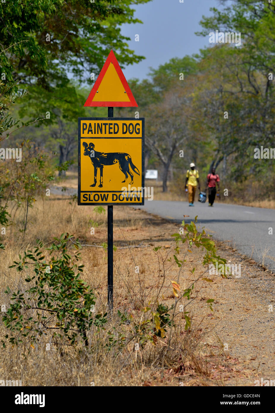 Warning Sign Painted dog, Attention African Wild Dogs, Hwange National ...
