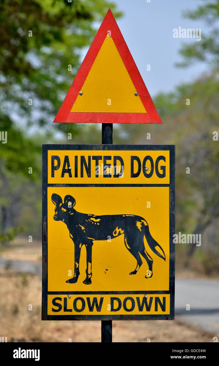 Warning Sign Painted dog, Attention African Wild Dogs, Hwange National ...