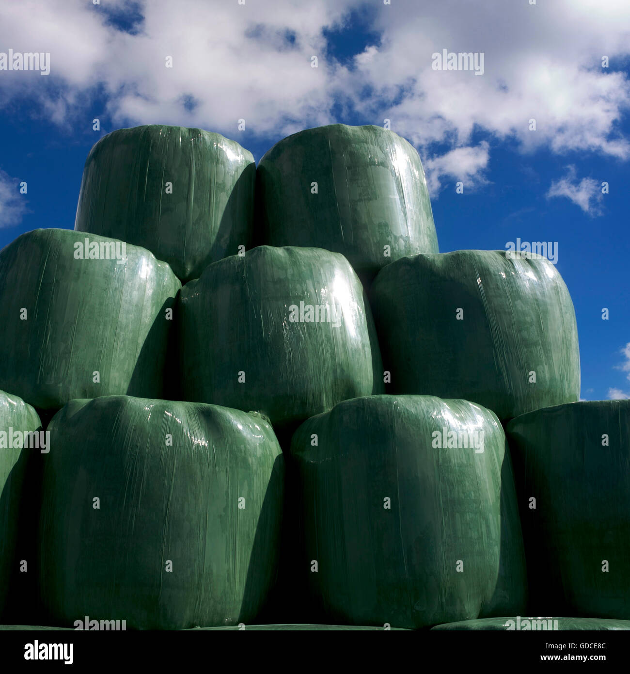 Bales of hay, wrapped Stock Photo - Alamy
