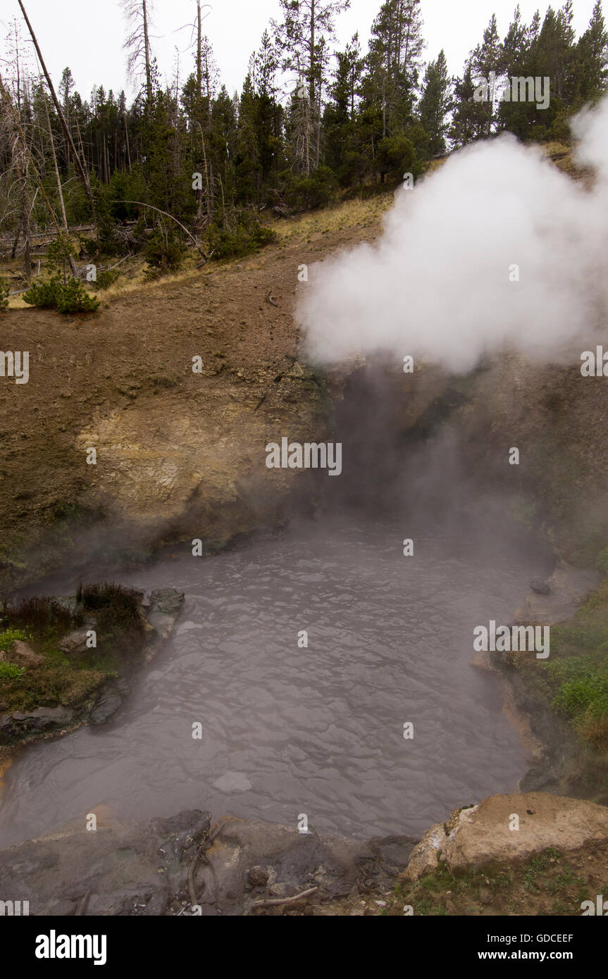 Mud Volcano Area, Yellowstone National Park, Wyoming, USA, America ...