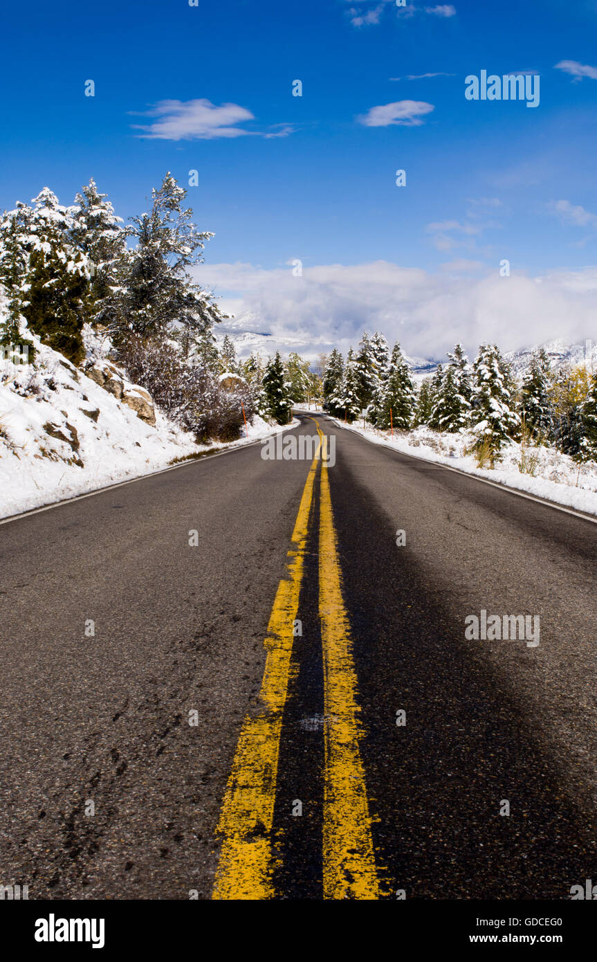 Road, Yellowstone National Park, Wyoming, USA Stock Photo - Alamy