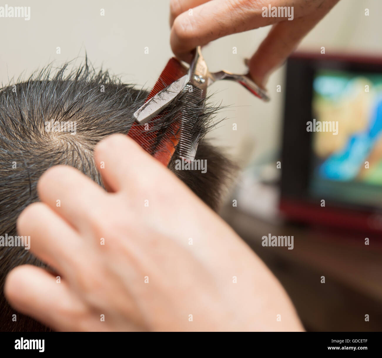professional hairdresser doing hair cutting for a boy Stock Photo - Alamy