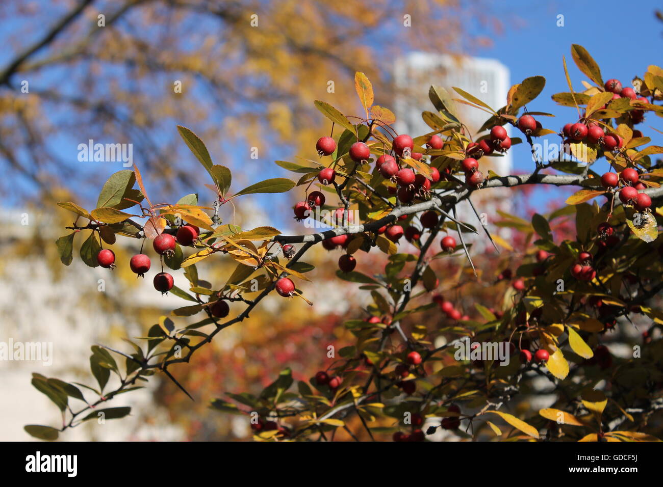 Chicago sunny day in spring hi-res stock photography and images - Alamy