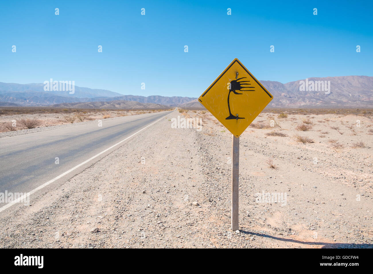 Road sign warning strong wind hi-res stock photography and images - Alamy